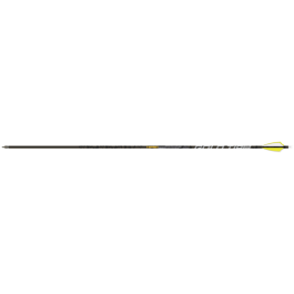 Gold Tip Valkyrie XT Arrows 300 4 Fletch 6 pk.
